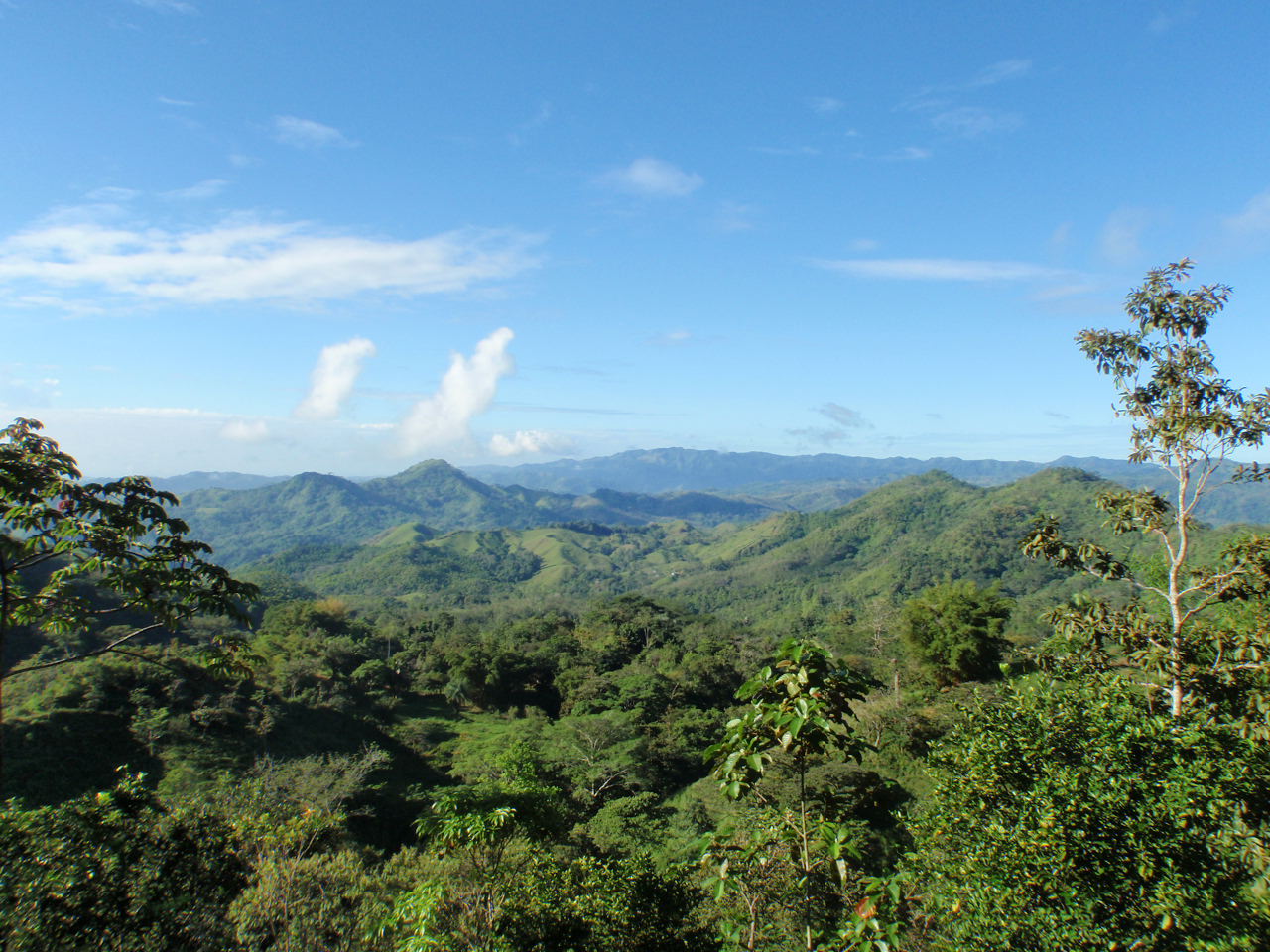 Finca Monte Galan (con loco tico!) | Handsome Mountain Farm (with the ...