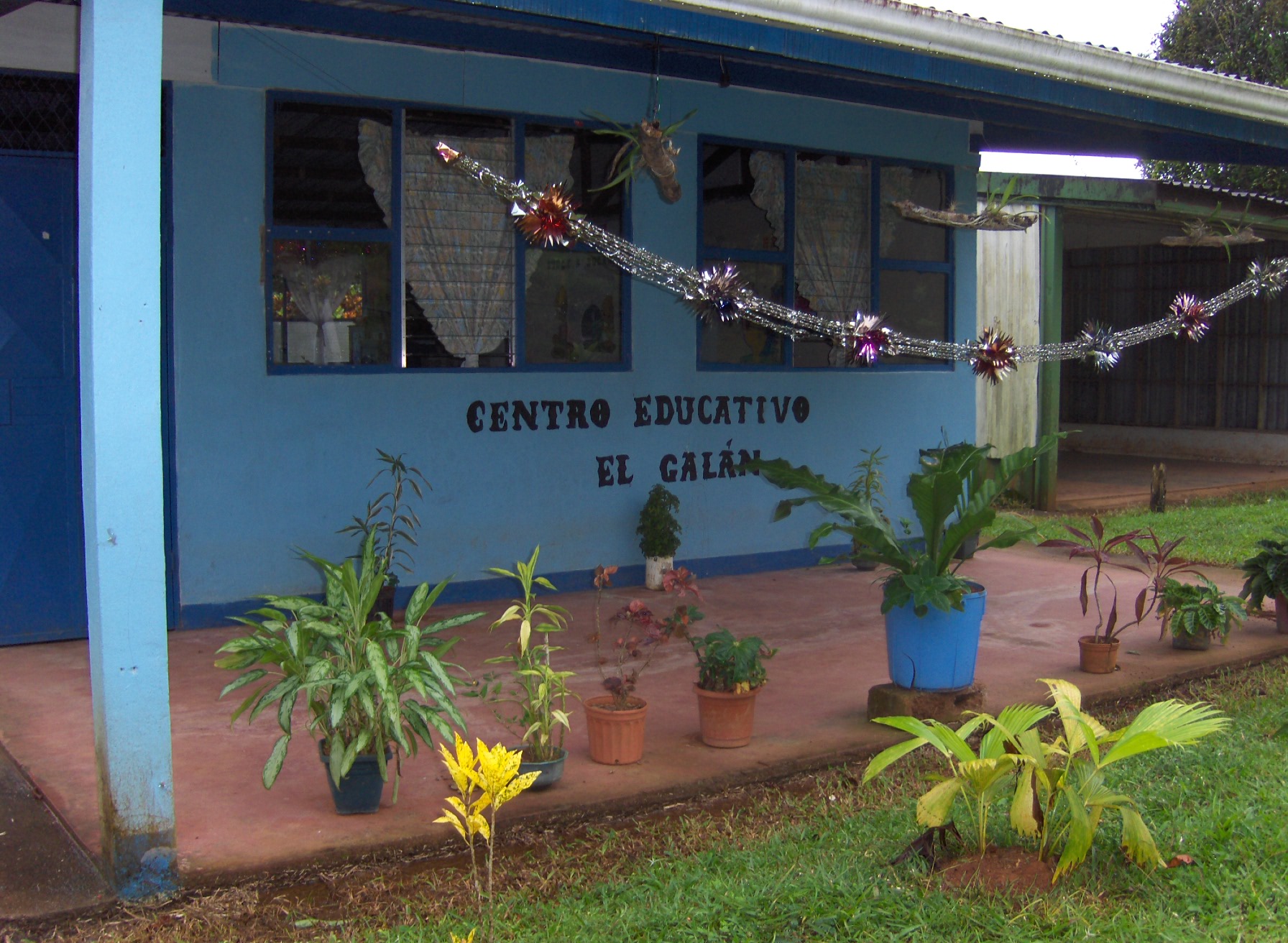 Finca Monte Galan (con loco tico!) | Handsome Mountain Farm (with the ...