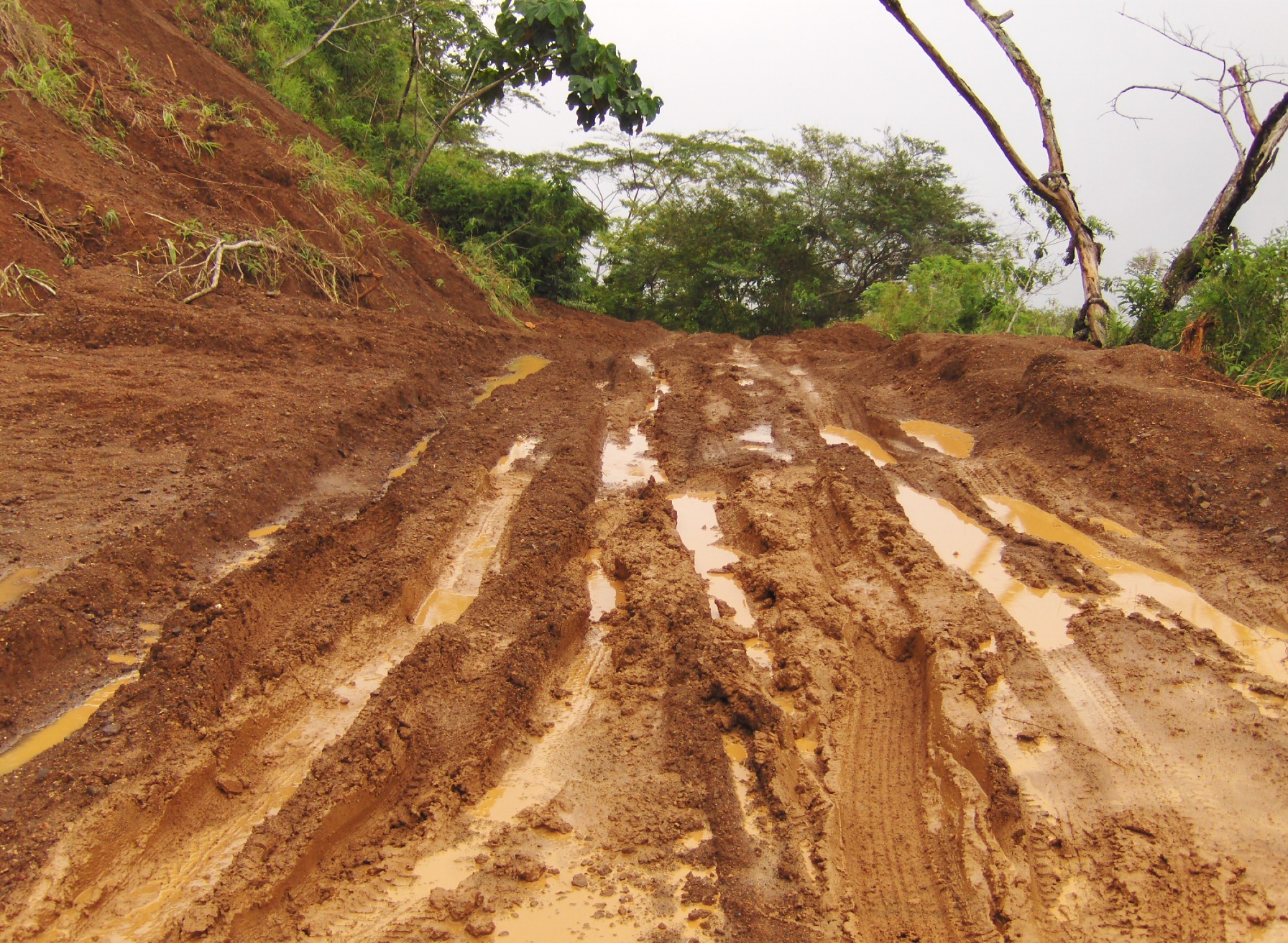 Finca Monte Galan (con loco tico!) | Handsome Mountain Farm (with the ...